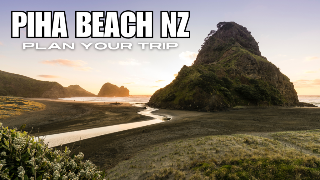 Piha Beach New Zealand - New Zealandia